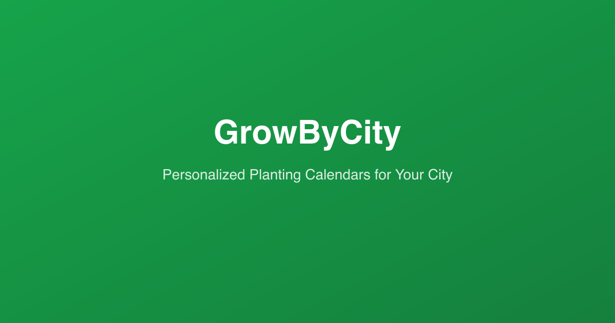 Growing Star Anise in Christchurch — Zone 6 Planting Guide | GrowByCity